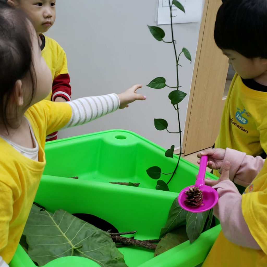 Tiny Tots Playgroup | Tots Education